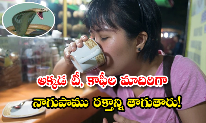 jakartas drink snake blood details, jakarta, indonesia, snake blood ...